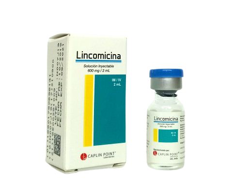 LINCOMICINA 600 MG/2 ML I.M/I.V SOL INYEC (LINCOCIN)